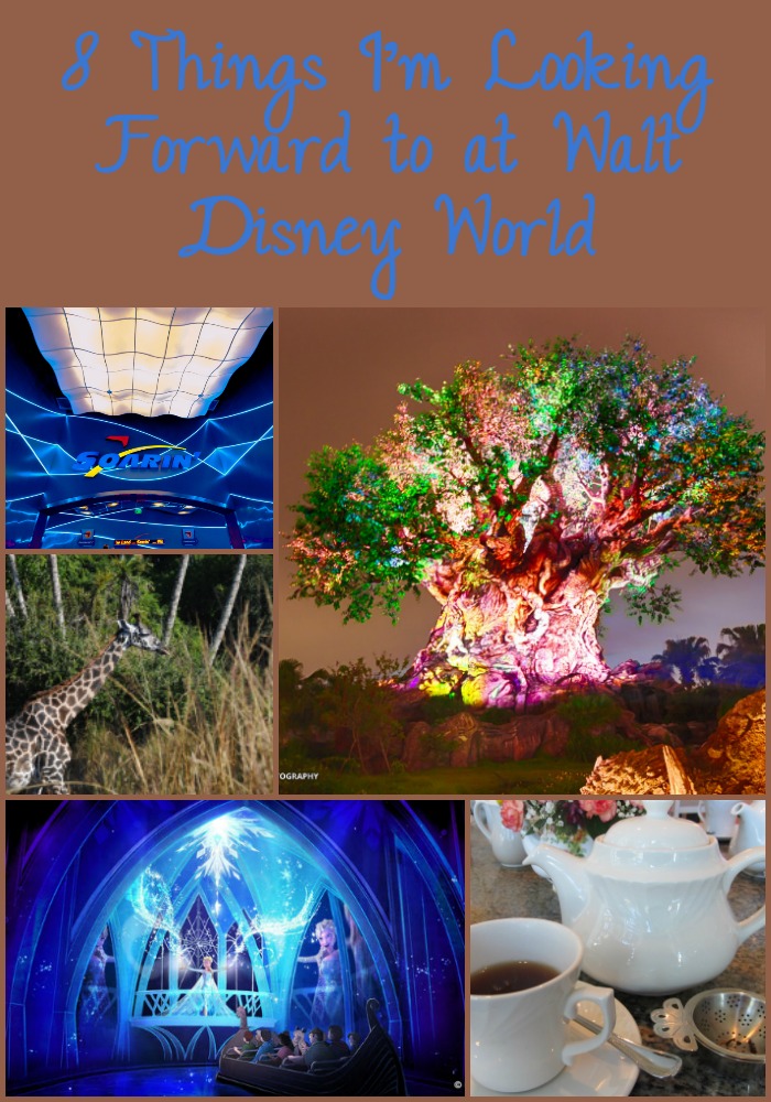 8 THINGS I’M LOOKING FORWARD TO AT WALT DISNEY WORLD | Disneyways